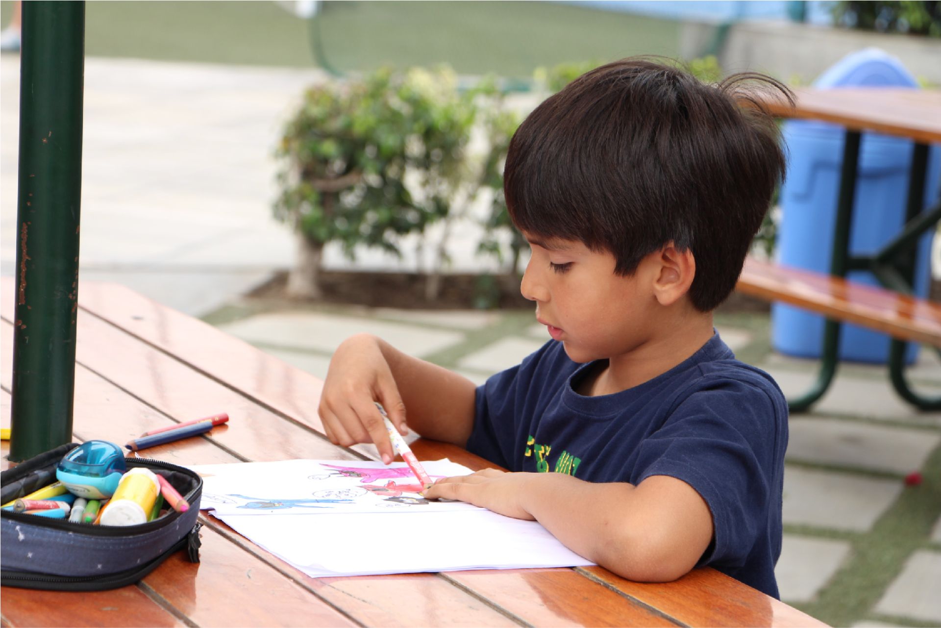 Vida Trener | Colegio Trener